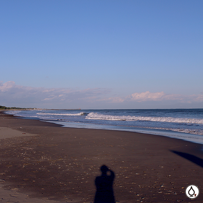 shadow | WATERS boutique of surfing