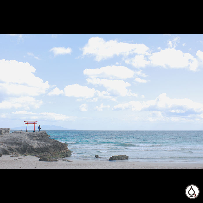 torii+beach | WATERS boutique of surfing